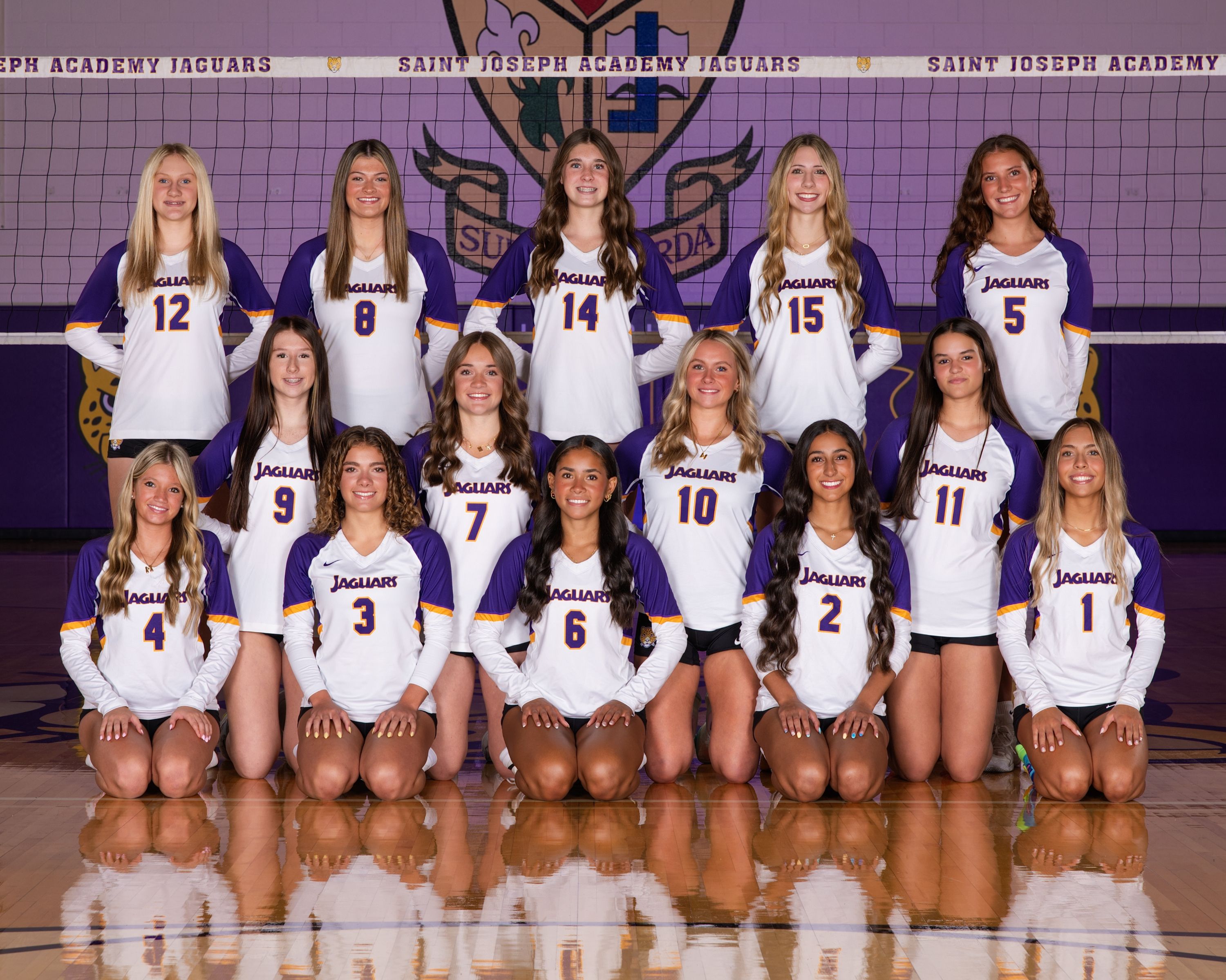 Gallery | Volleyball Team Photos