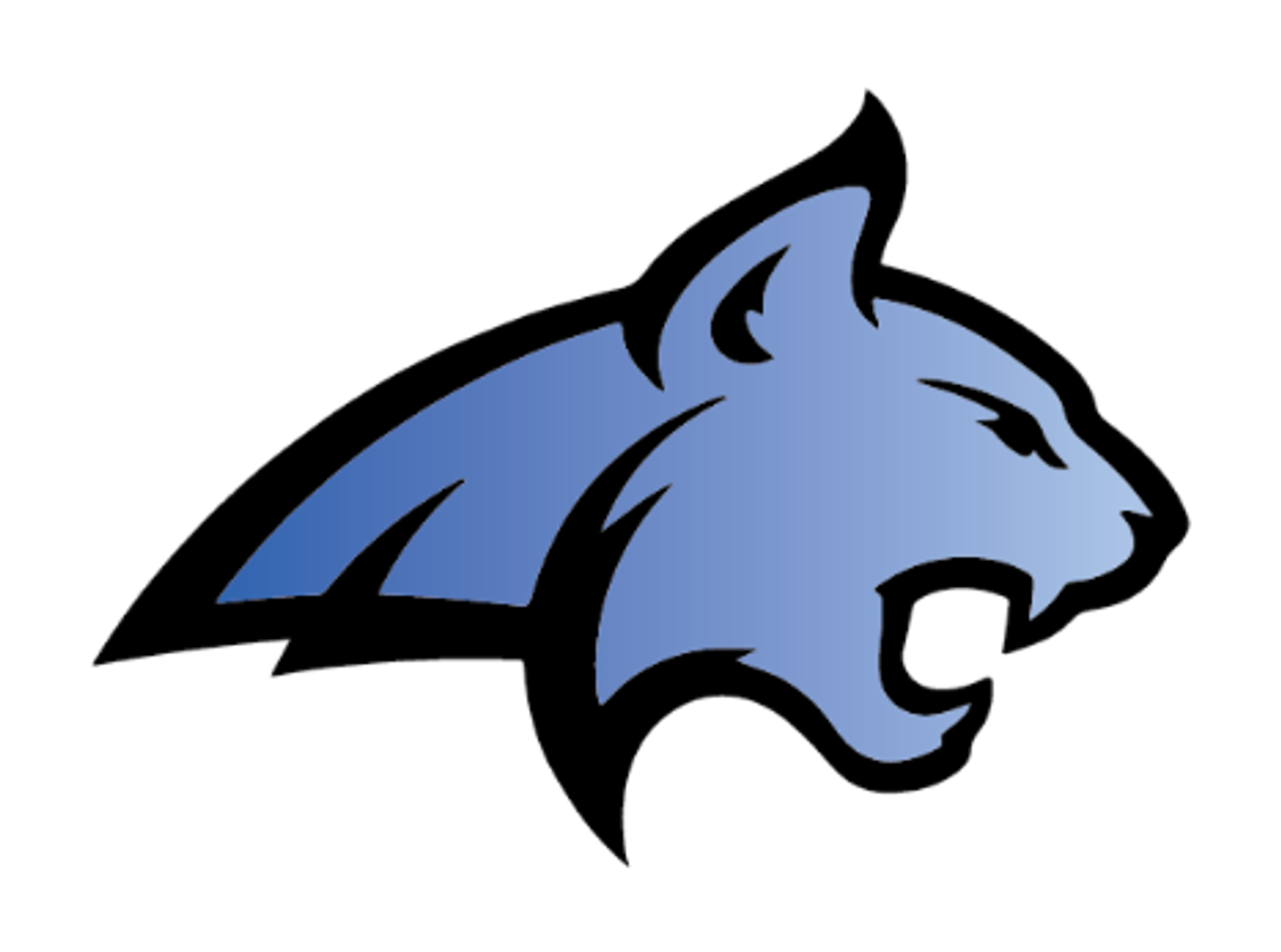 Home | Sky View High School