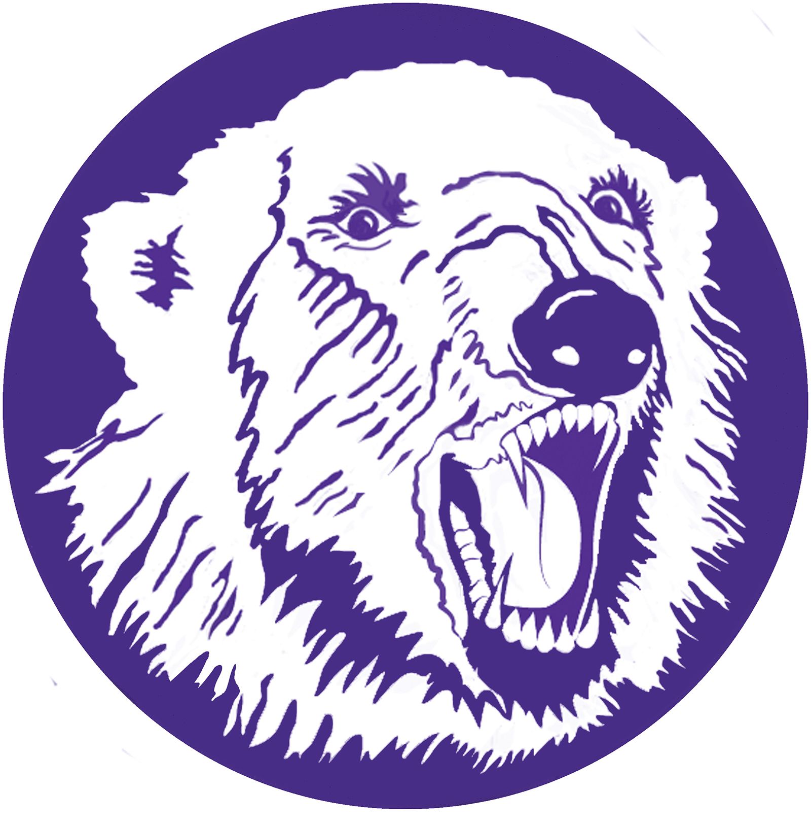 Home | Jackson Polar Bears Athletic Department